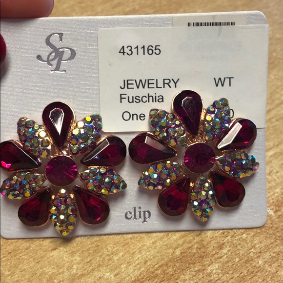 Jewelry | Fuchsia Earrings | Poshmark